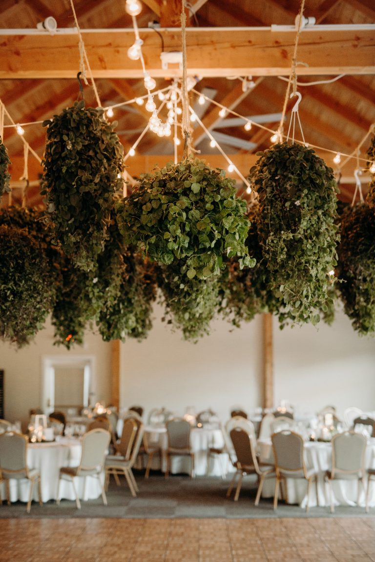 Ferns, Fun, Summer Party Wedding