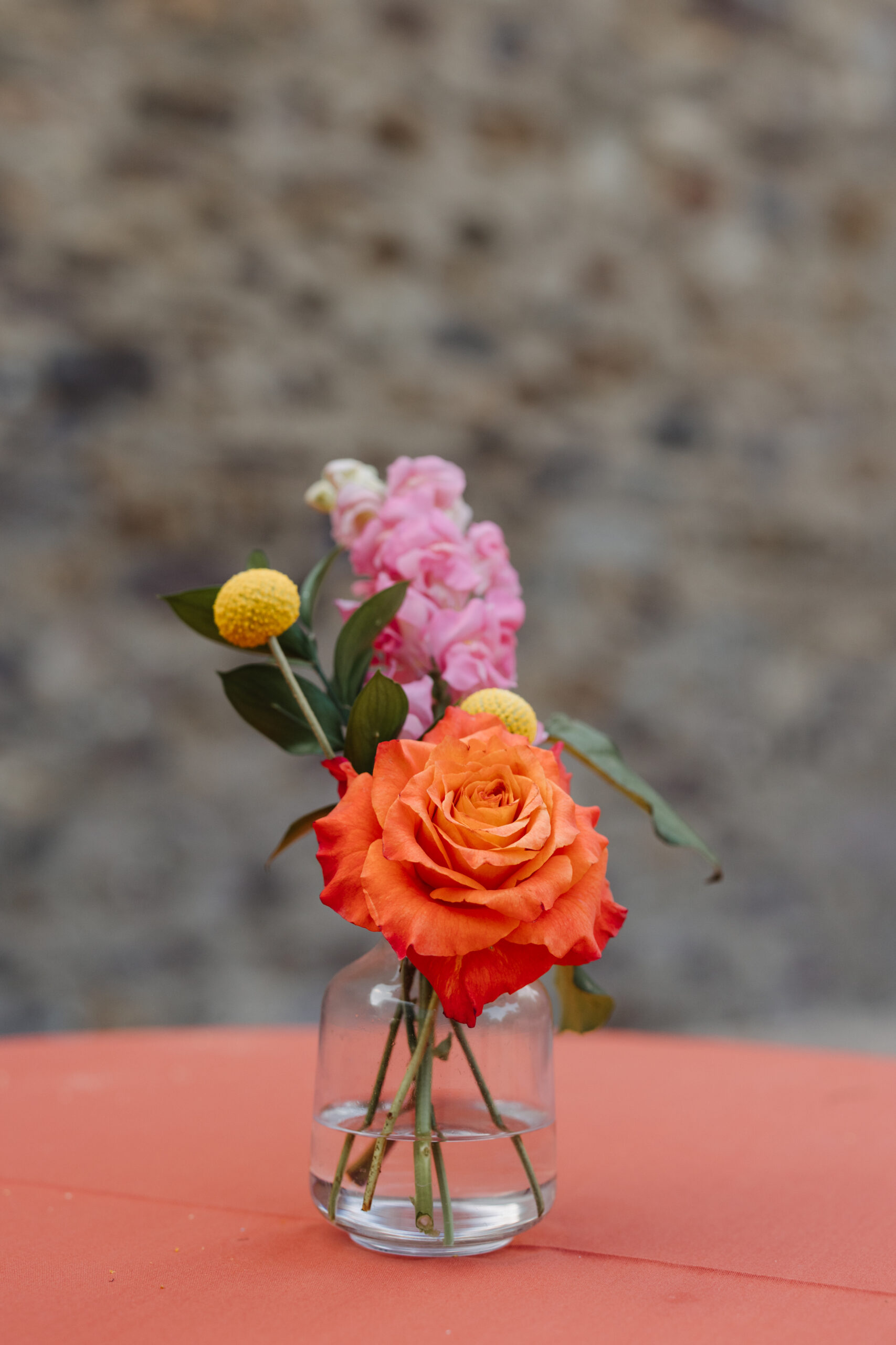 A Colorful Explosion of Flowers!